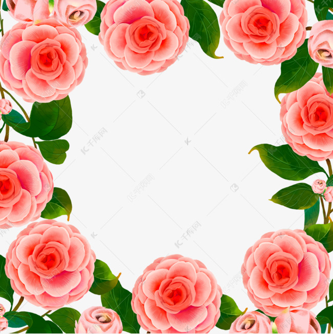 山茶花水彩花卉粉色质感边框素材图片免费下载-千库网