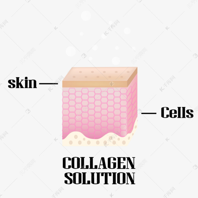 皮肤保护卡通模型素材图片免费下载-千库网