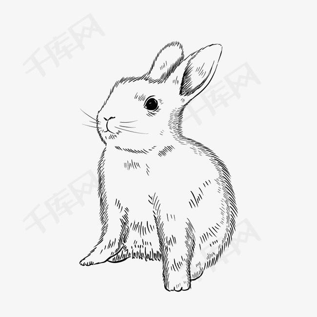 兔年线条白描兔子素材图片免费下载-千库网