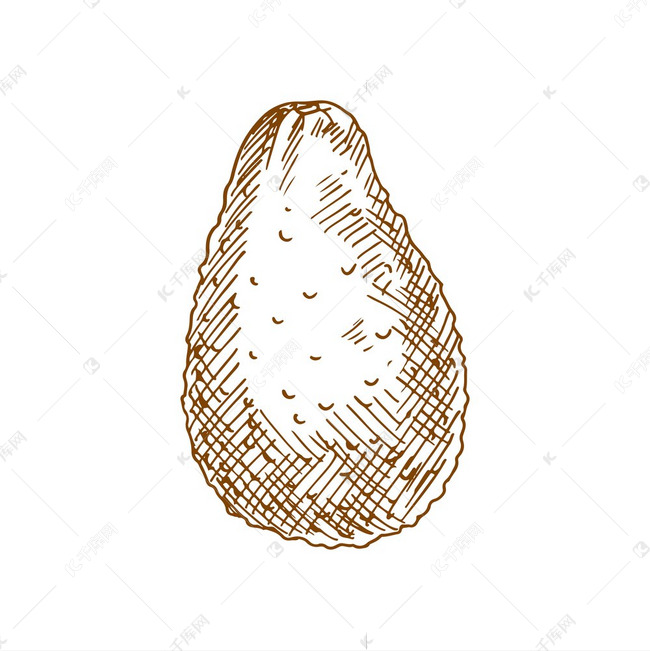 鳄梨或鳄梨孤立的墨西哥水果素描。素材图片免费下载-千库网