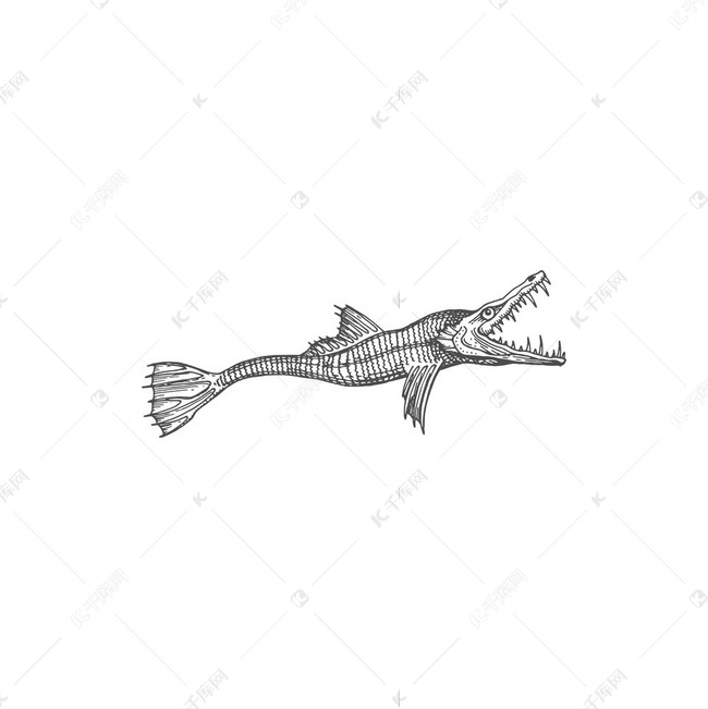 Cetus 巨大的海洋生物或海怪孤立的巨型鱼与颚单色素描图标。素材图片免费下载-千库网
