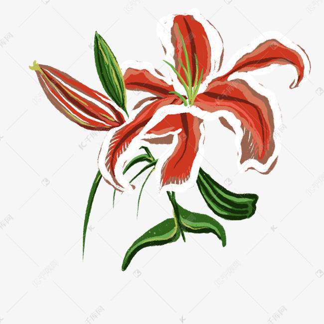 卡通红色百合花素材图片免费下载-千库网