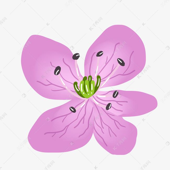 粉色鲜花插画素材图片免费下载-千库网