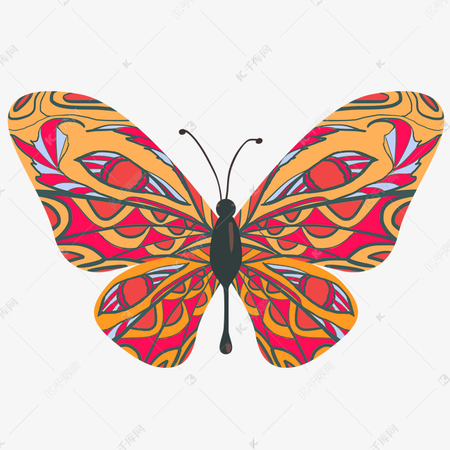 生物蝴蝶标本橙色素材图片免费下载-千库网
