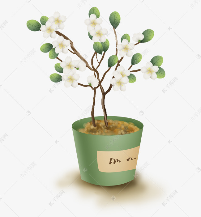 苹果树种植盆栽素材图片免费下载-千库网