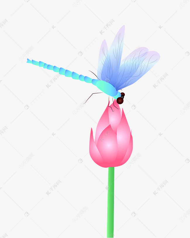 蓝色蜻蜓素材图片免费下载-千库网