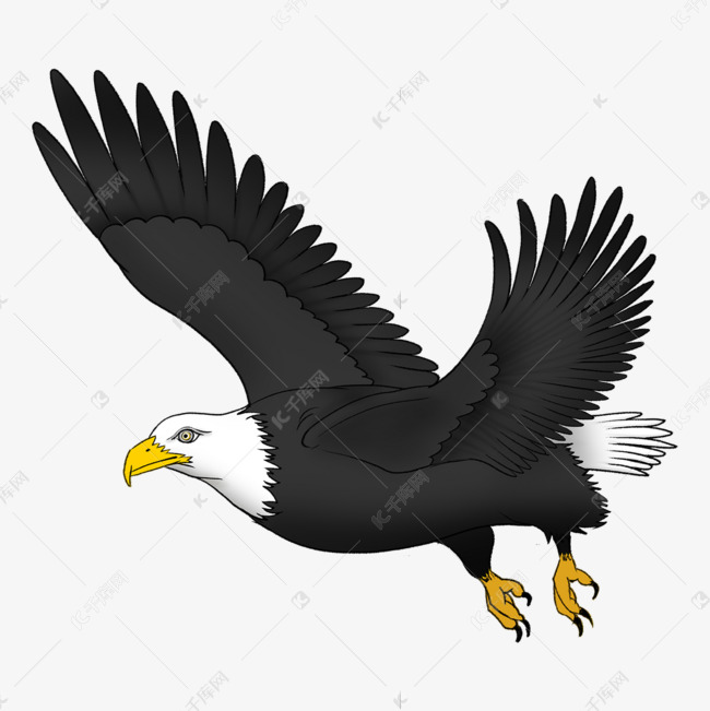 展翅高飞猎鹰剪贴画素材图片免费下载-千库网