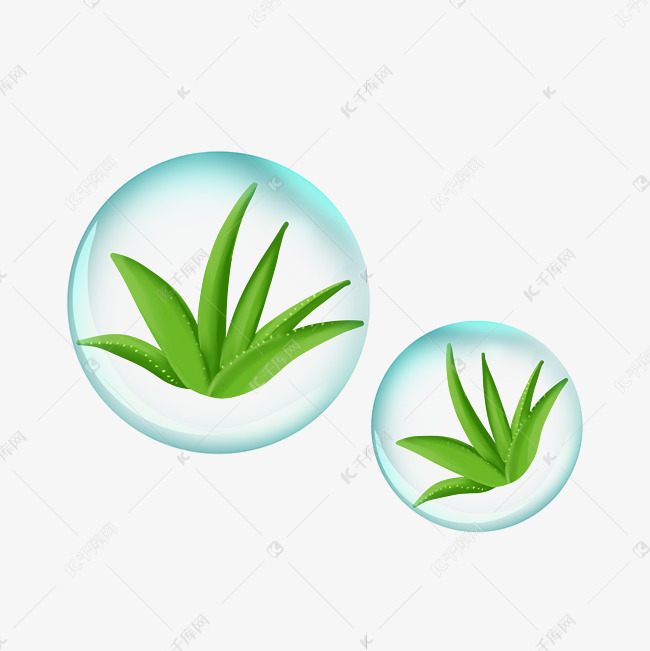 医美芦荟植物因子素材图片免费下载-千库网