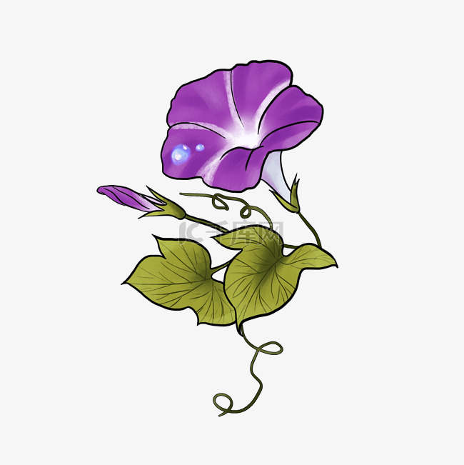 植物牵牛花手绘插画素材图片免费下载-千库网