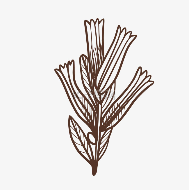 花朵花卉植物素材图片免费下载-千库网