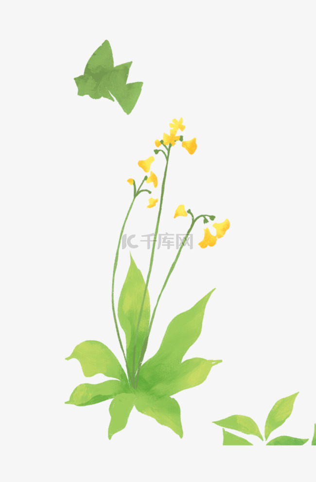 小草花朵素材图片免费下载-千库网