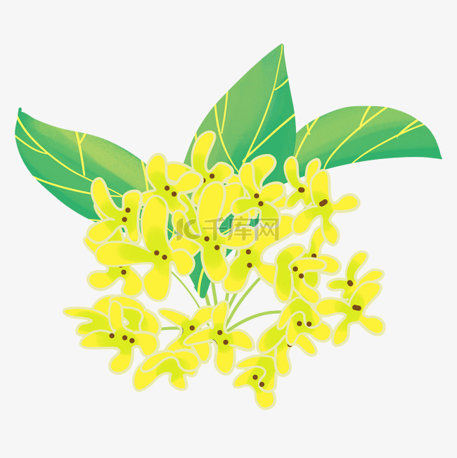 黄色花朵桂花素材图片免费下载-千库网