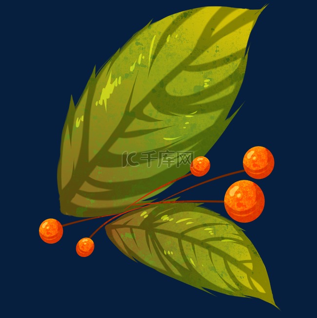 绿色树叶果实素材图片免费下载-千库网