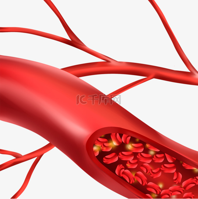 人体血管医学血细胞插图素材图片免费下载-千库网
