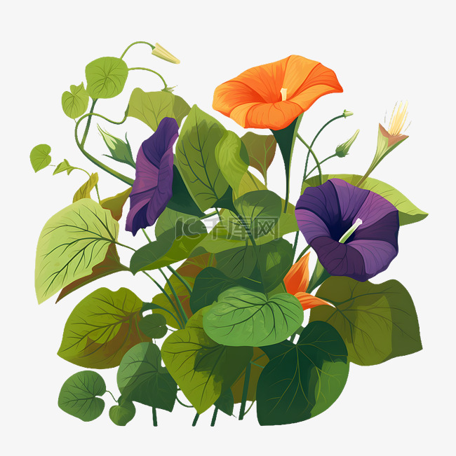 牵牛花植物花朵夕颜素材图片免费下载-千库网