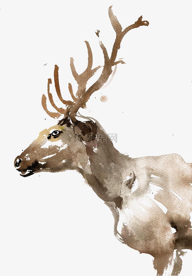 侧面的小鹿素材图片免费下载-千库网