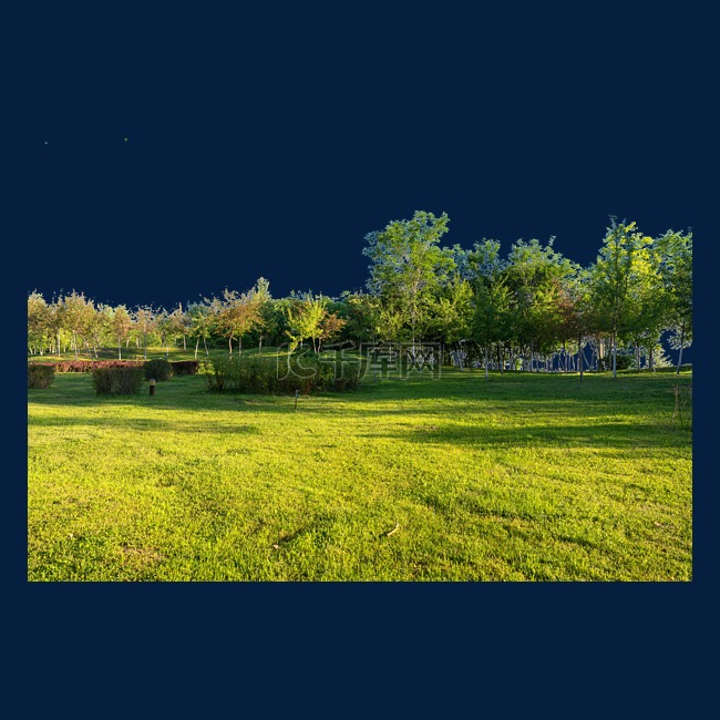 公园草地素材图片免费下载-千库网