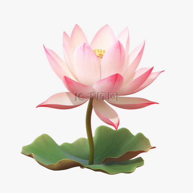 3DC4D立体夏季荷塘荷花荷叶 素材图片免费下载-千库网