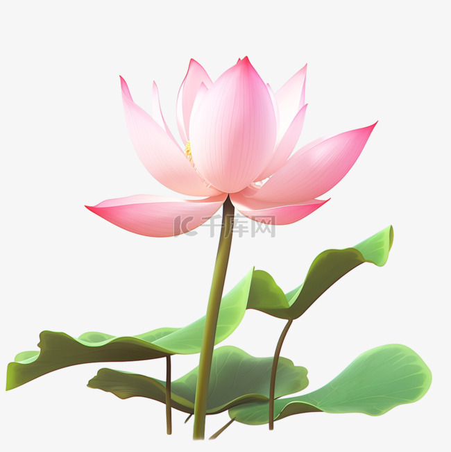 3DC4D立体夏季荷塘荷花荷叶素材图片免费下载-千库网