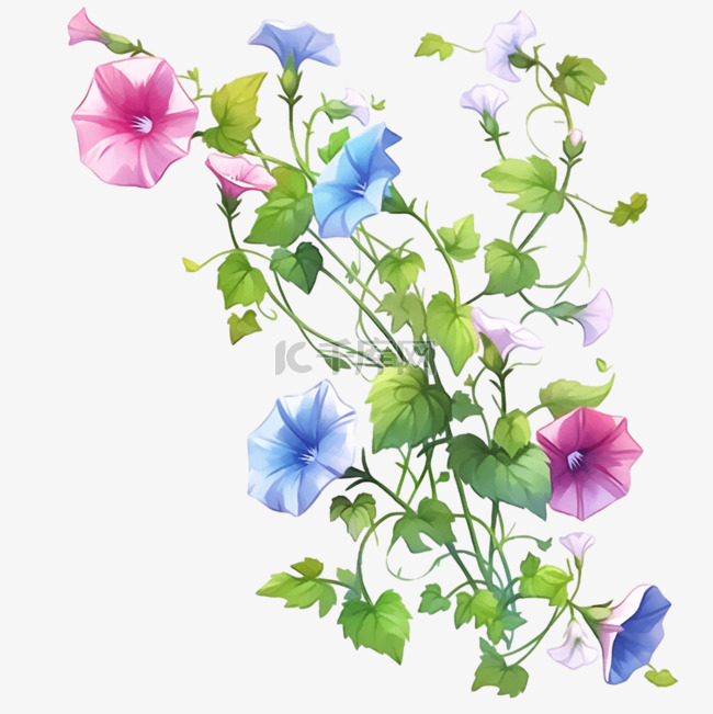 盛开花朵牵牛花手绘元素素材图片免费下载-千库网