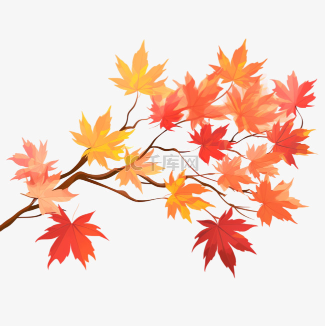 秋季红色枫叶卡通插画素材图片免费下载-千库网