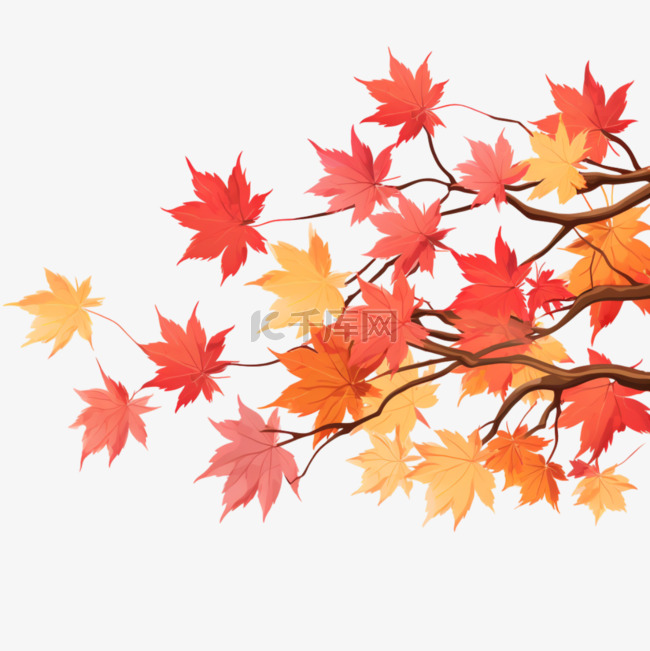 秋季枫叶卡通插画素材图片免费下载-千库网