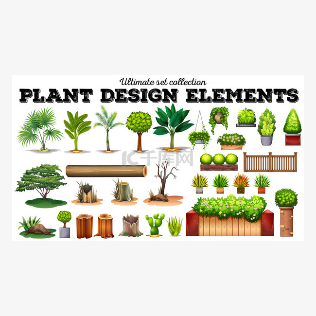 许多种类的植物素材图片免费下载-千库网