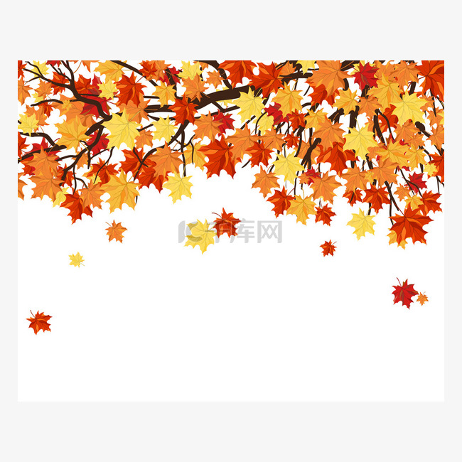 Frame With Maple Tree Branches and Leaves素材图片免费下载-千库网