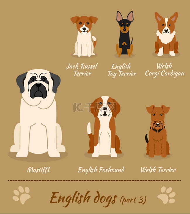 English breed of dogs素材图片免费下载-千库网