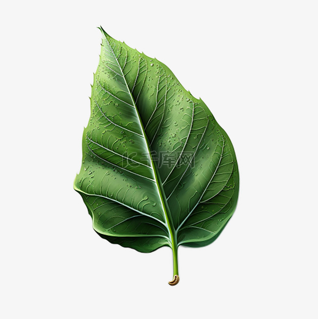 叶子绿色卡通素材图片免费下载-千库网