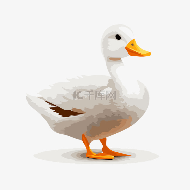 白鸭 向量素材图片免费下载-千库网