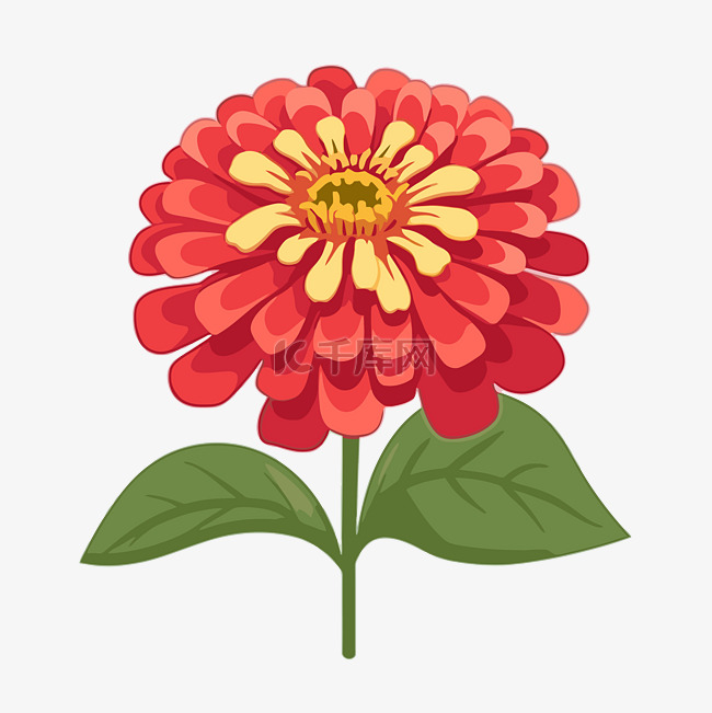 矢量设计卡通中的百日草剪贴画红色花朵素材图片免费下载-千库网