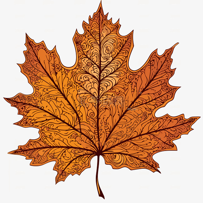 秋天的树叶轮廓剪贴画详细的枫叶，其卡通上有复杂的设计 向量素材图片免费下载-千库网