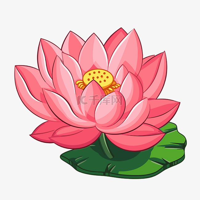 莲花图像剪贴画粉红色莲花矢量插画卡通素材图片免费下载-千库网