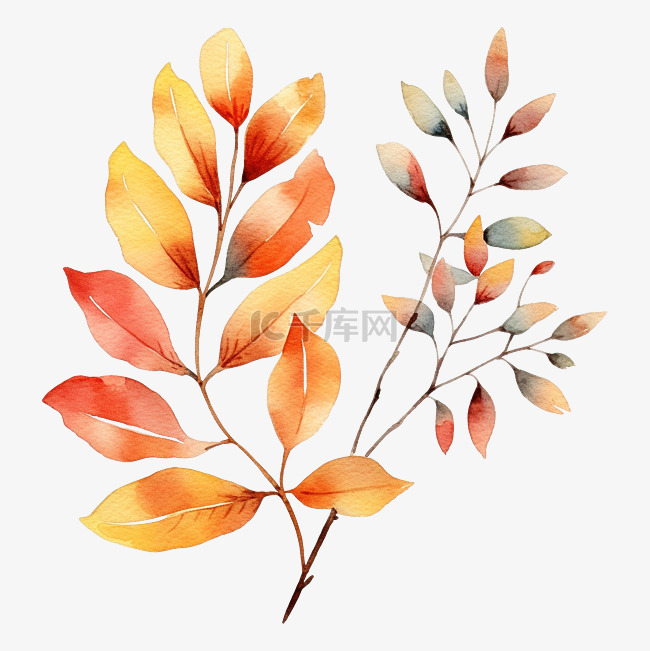 秋天的植物水彩素材图片免费下载-千库网