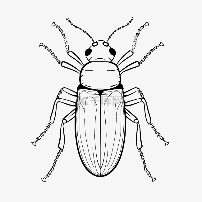 bug 线性图素材图片免费下载-千库网