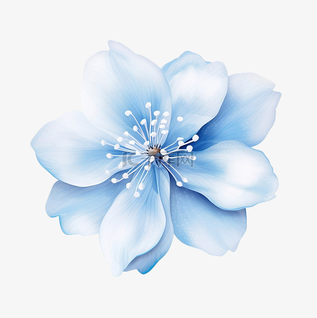 淡蓝色的花素材图片免费下载-千库网
