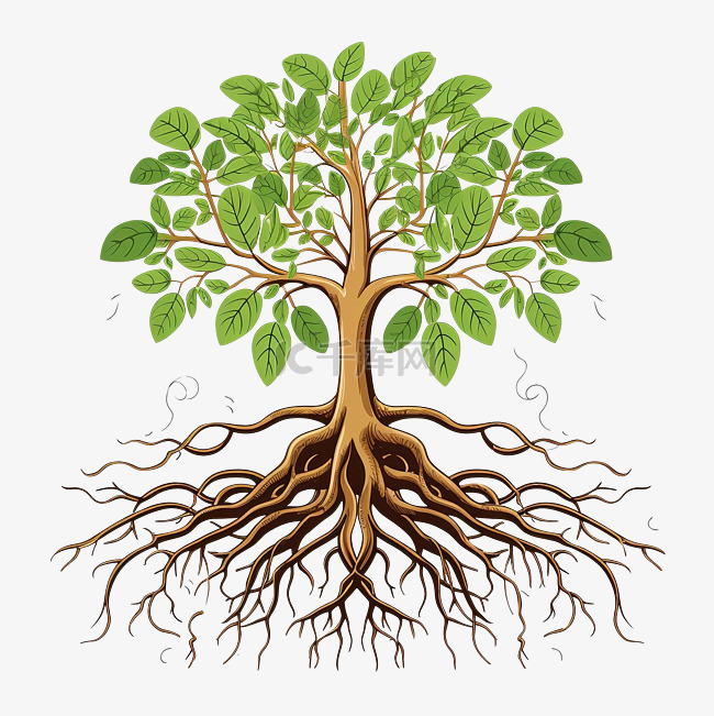植物有根png插图素材图片免费下载-千库网