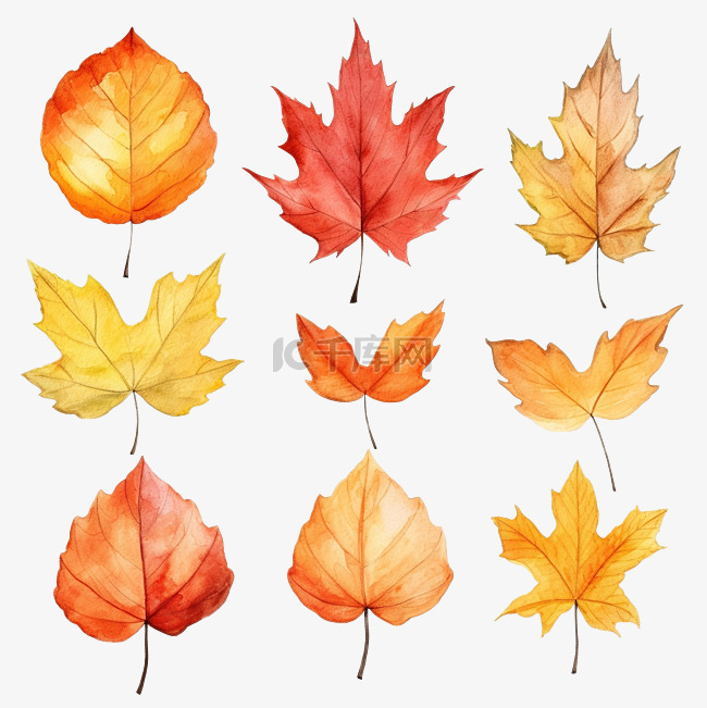 水彩秋天多彩树叶素材图片免费下载-千库网