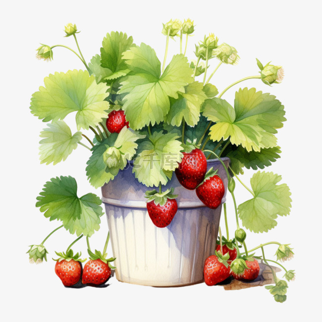 AICG草莓盆栽元素立体免抠图案素材图片免费下载-千库网