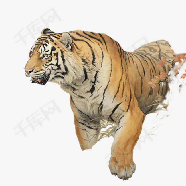 动物老虎元素立体免抠图案素材图片免费下载-千库网
