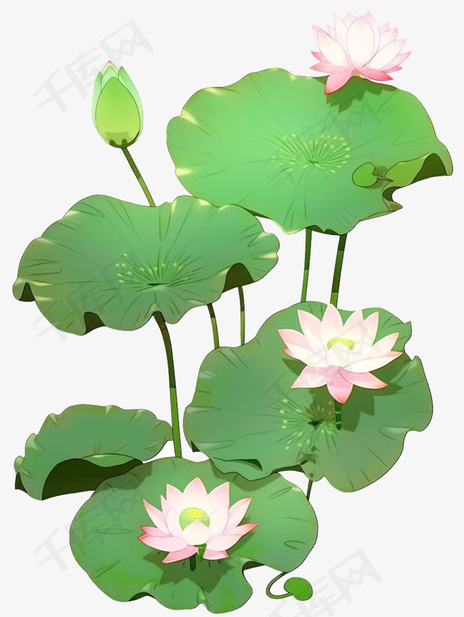 荷花素材夏季装饰素材图片免费下载-千库网