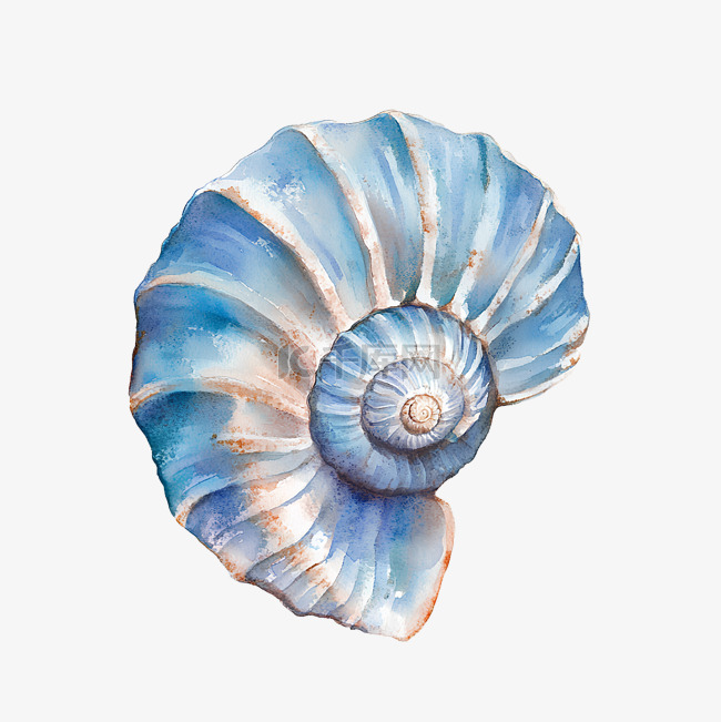 水彩海洋贝壳素材图片免费下载-千库网