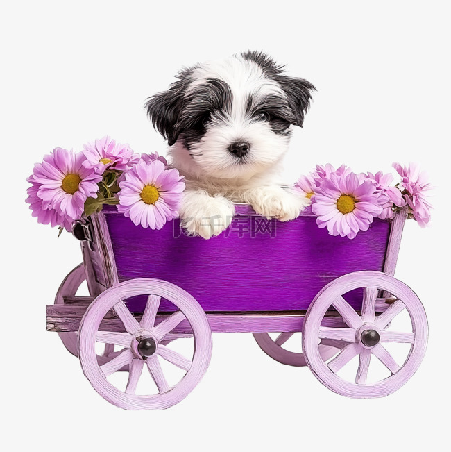 紫色马车里有粉红色花朵的可爱小狗素材图片免费下载-千库网