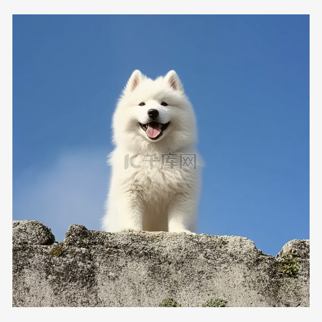 白色狗狗蓝天背景头像素材图片免费下载-千库网