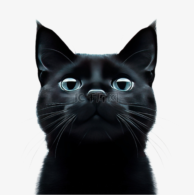 黑胡子和胡须的猫素材图片免费下载-千库网