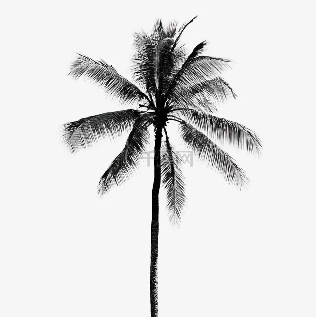 黑白棕榈树与云素材图片免费下载-千库网