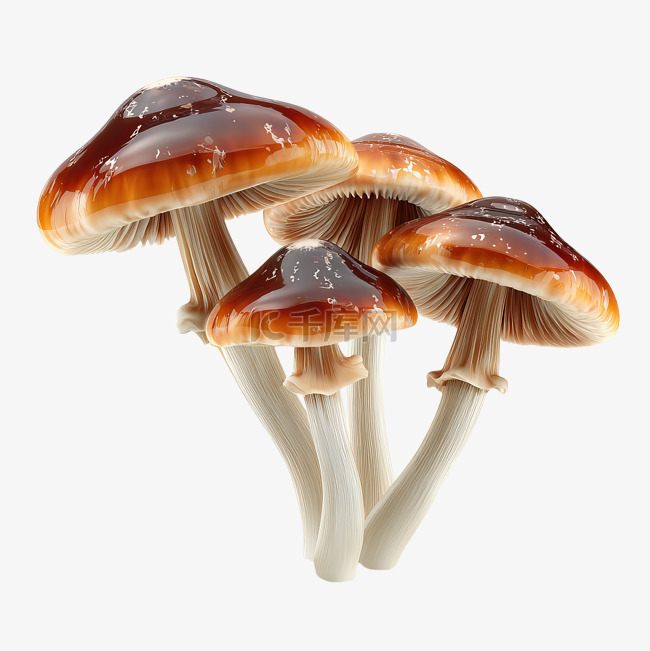 菌类植物特写素材图片免费下载-千库网