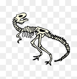 【恐龙化石素材】免费下载_恐龙化石图片大全_千库网png