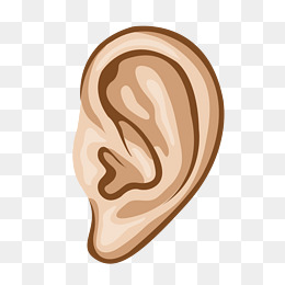 【人耳朵素材】_人耳朵图片大全_人耳朵素材免费下载_千库网png